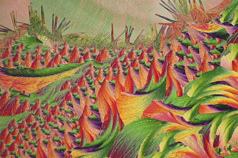 Introducing the Extraordinary World of Photomicrography: An Interview ...
